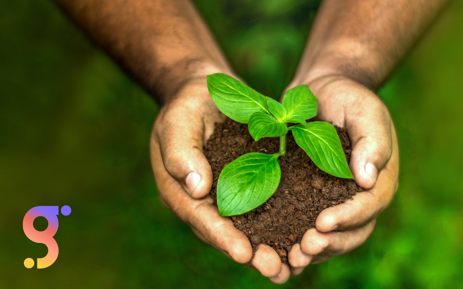 Case study - Loam Bio