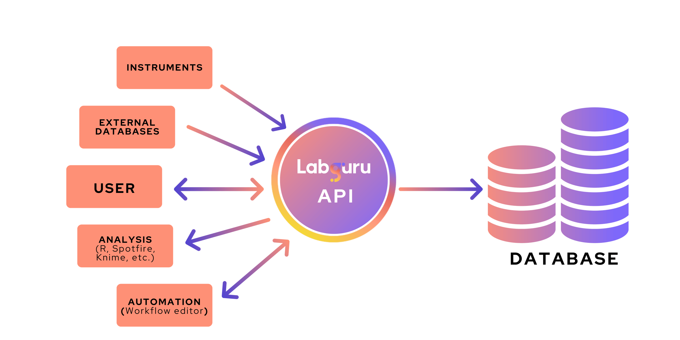 Unlock Lab Efficiency with API and ELN Integration | Labguru